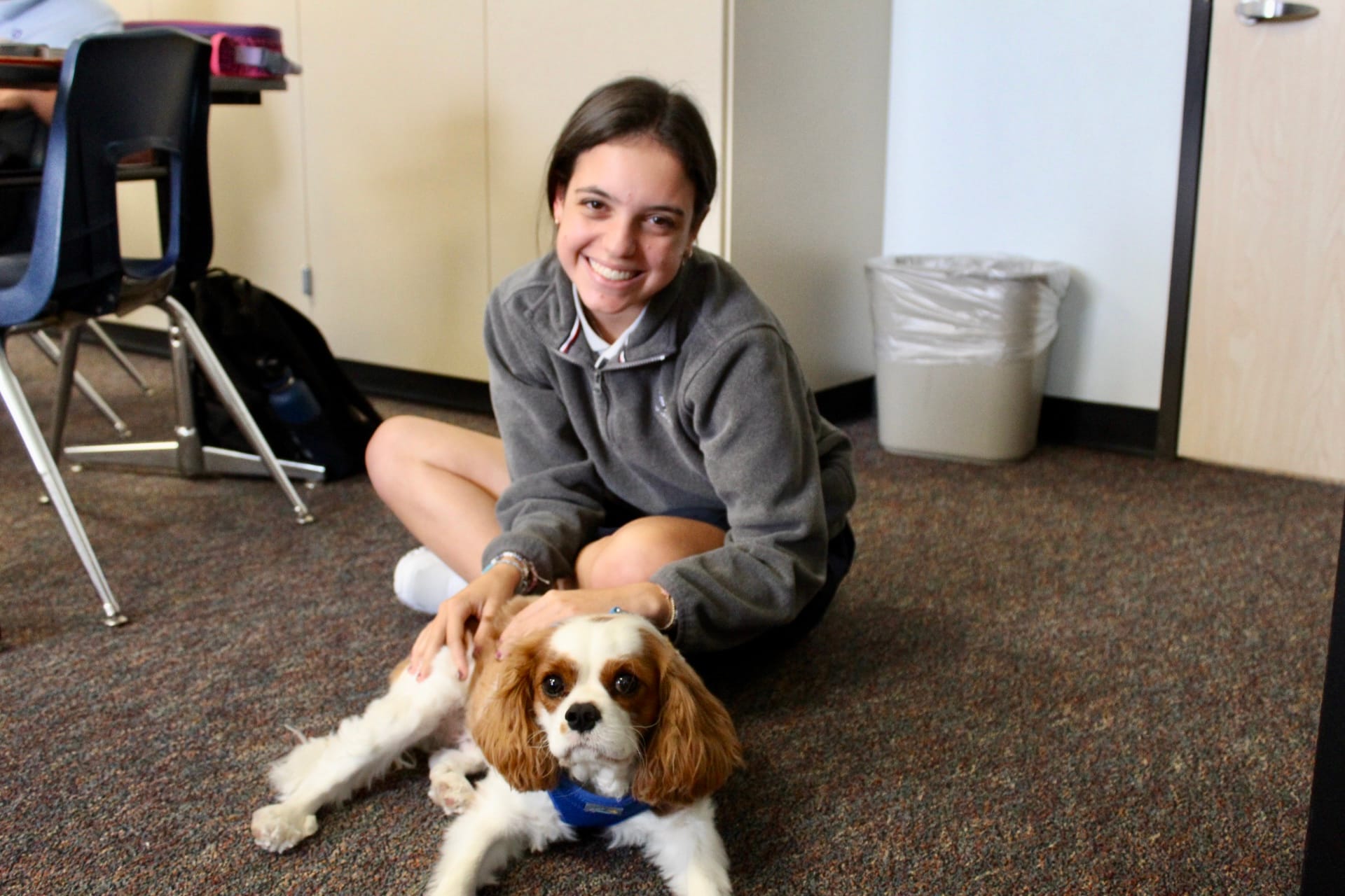 Introducing Winston: Briarwood’s First Official Therapy Dog Thursday ...